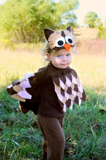 Woodland Owl Halloween Costume | Welcome To Nana's