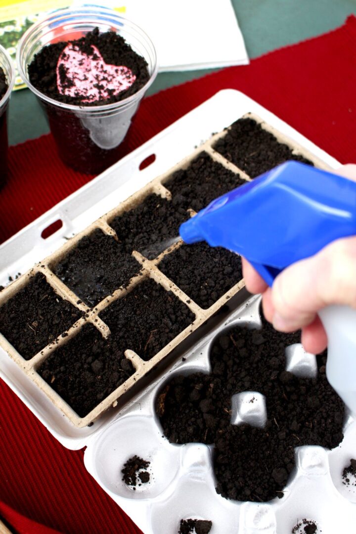 Planting Spring Flower Seeds | Welcome To Nana's