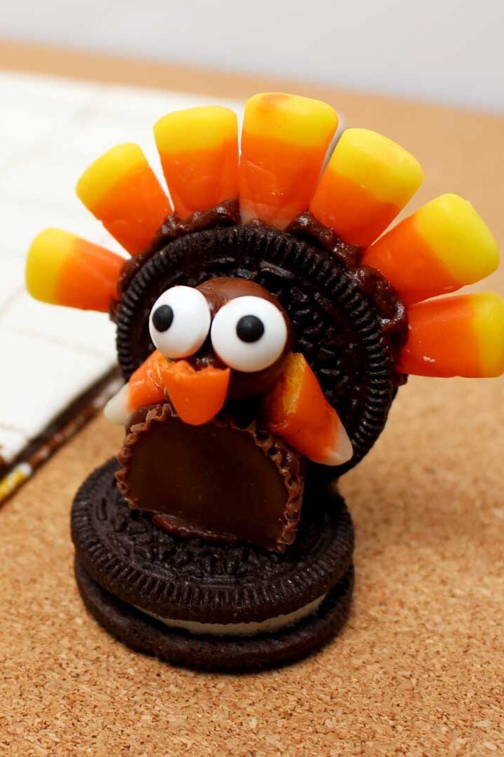 Cute Turkey Thanksgiving Gifts (Easy Table Favors!) | Welcome To Nana's