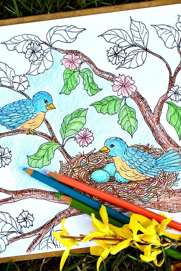 Printable Tree Coloring Page for Arbor Day | Welcome To Nana's