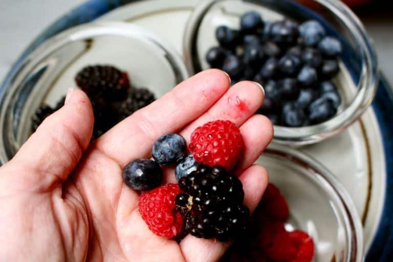 DIY Quill Pen and Ink | Welcome To Nana's