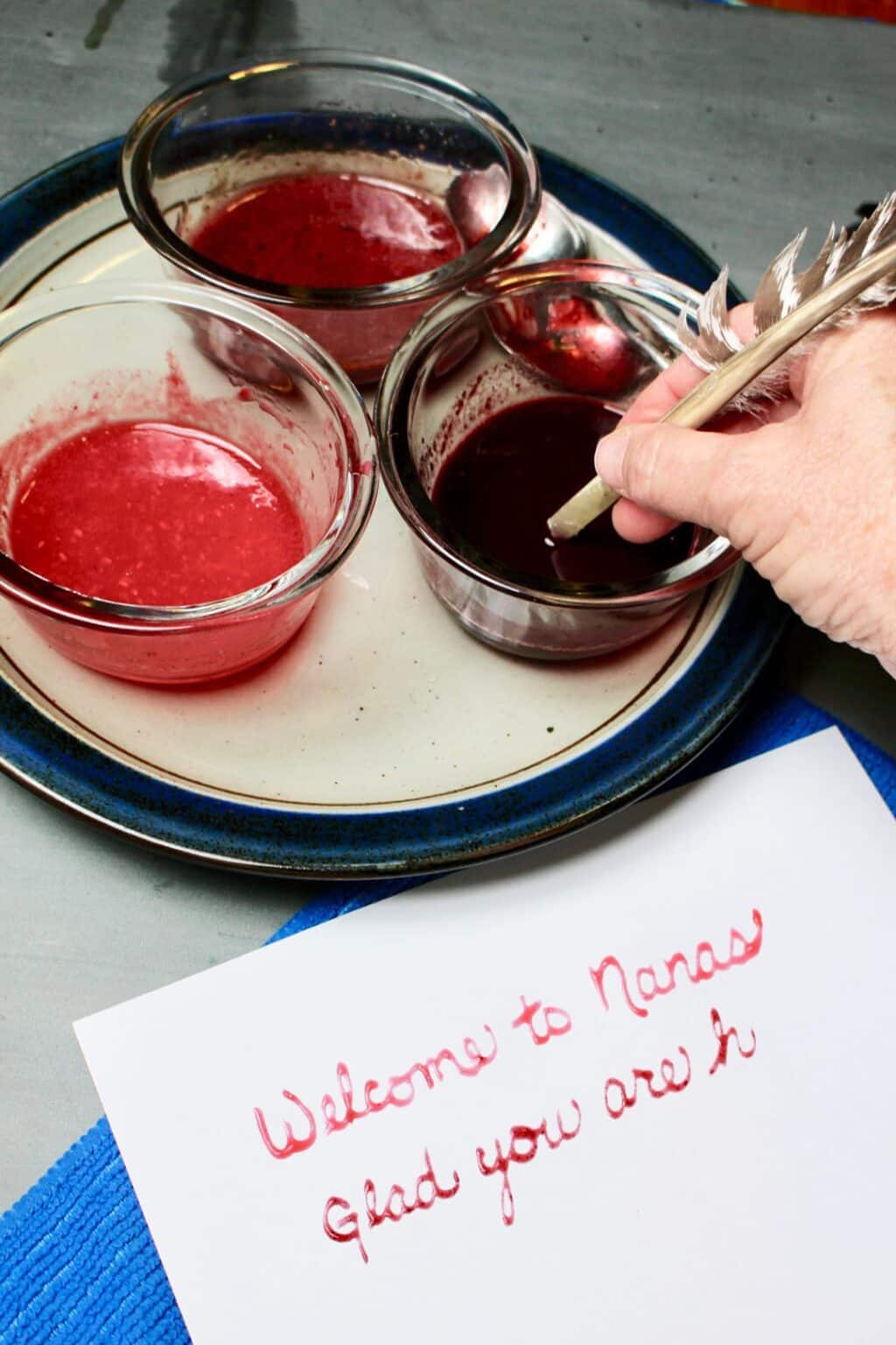 DIY Quill Pen and Ink | Welcome To Nana's