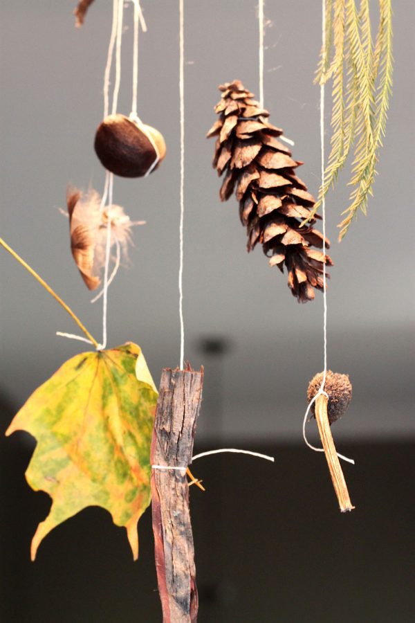 Treasure Hunt Nature Mobile - Welcome To Nana's