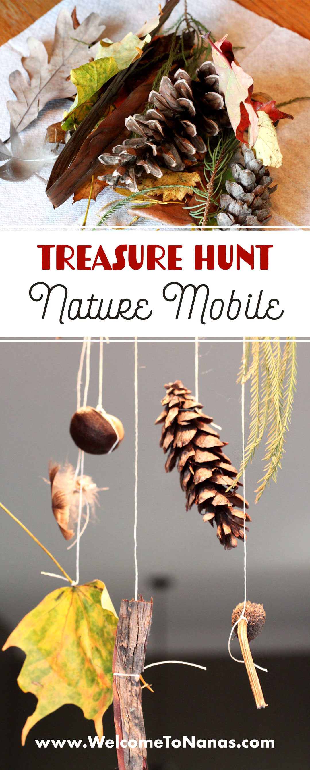 Treasure Hunt Nature Mobile - Welcome To Nana's
