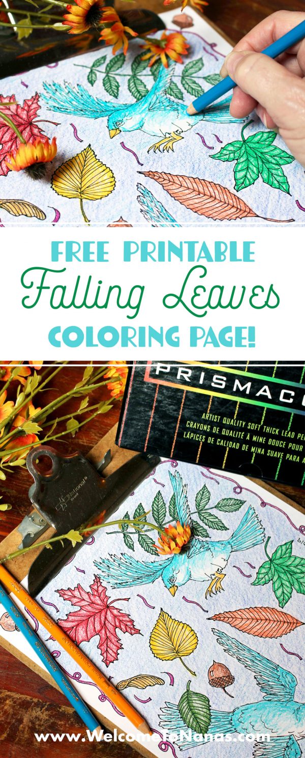 Falling Leaves Free Coloring Page | Welcome To Nana's