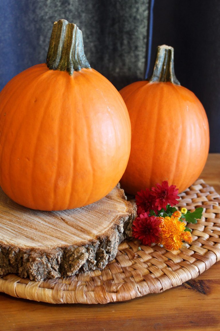 Fall Corn Maze Free Coloring Page | Welcome To Nana's