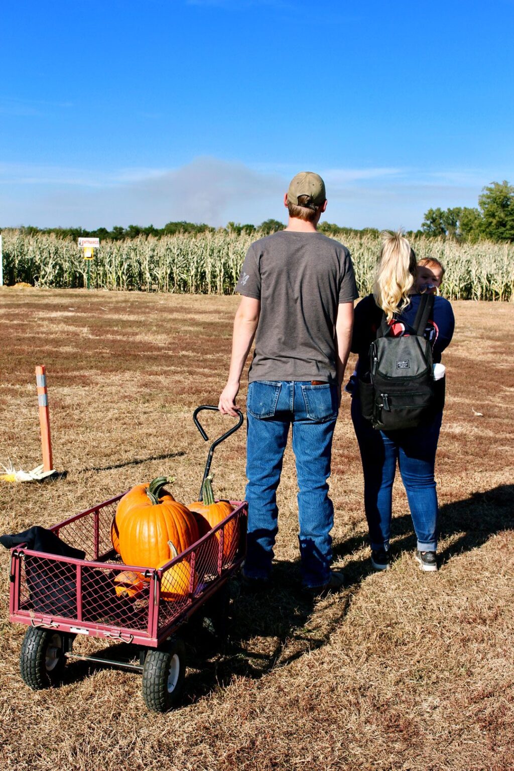 Fall Corn Maze Free Coloring Page | Welcome To Nana's