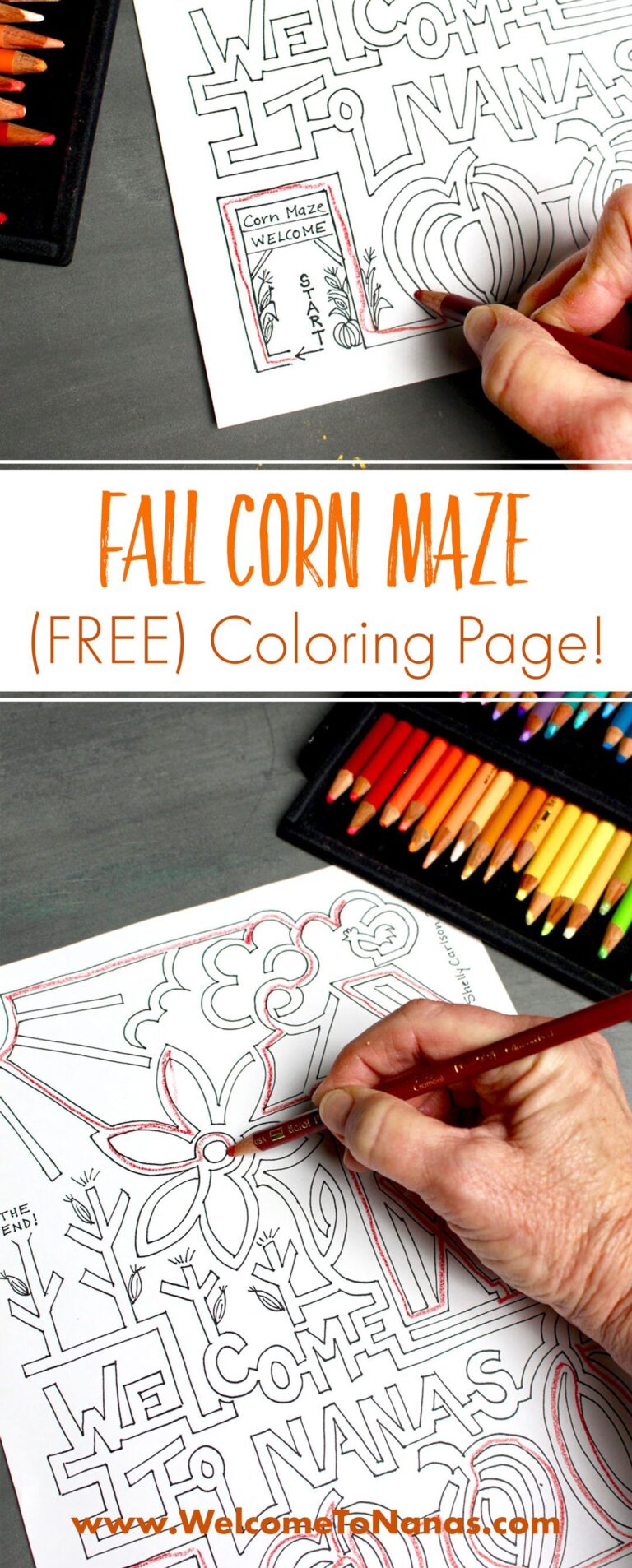 Fall Corn Maze Free Coloring Page - Welcome To Nana's