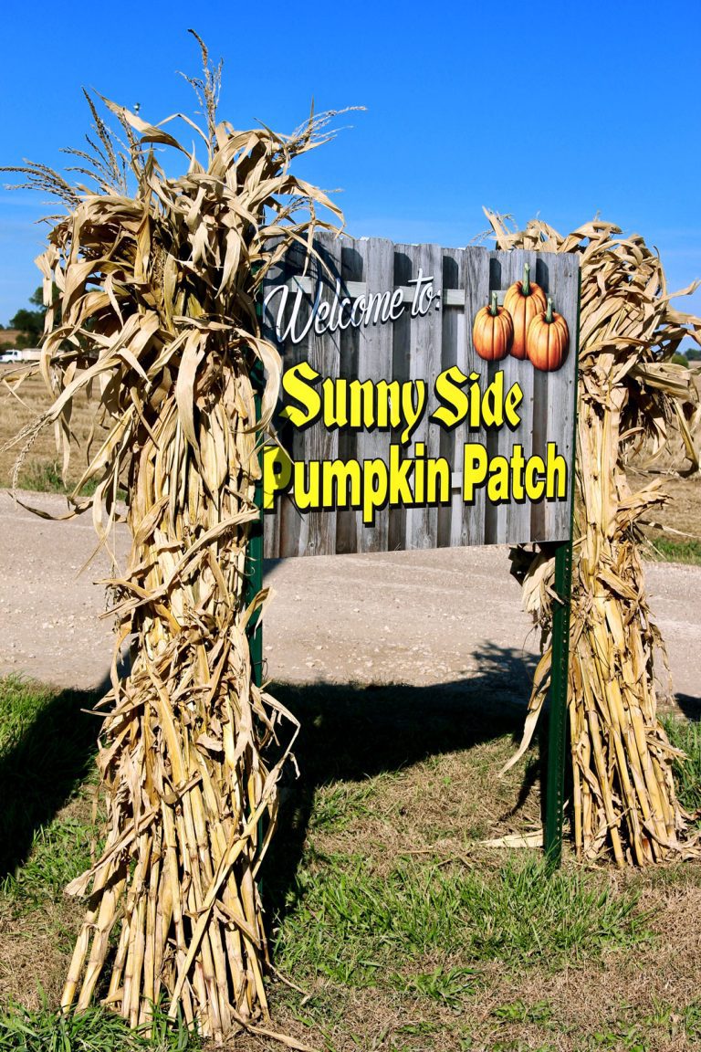 Fall Corn Maze Free Coloring Page | Welcome To Nana's