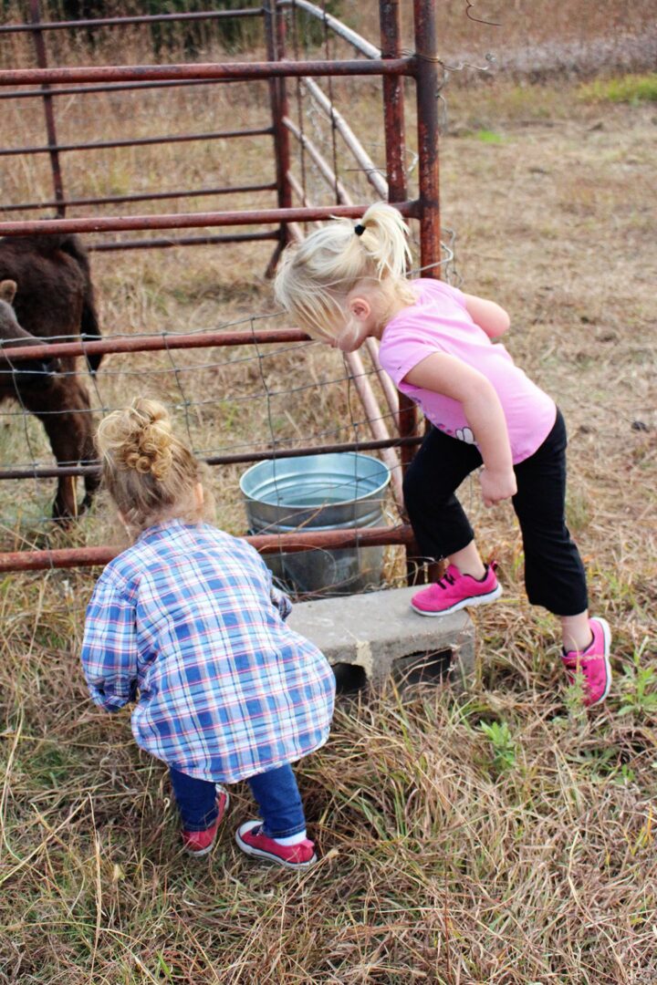 Create an Outdoor Treasure Hunt for Kids | Welcome To Nana's