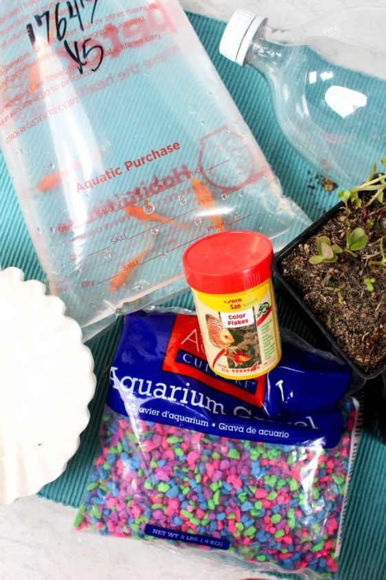 DIY 2-liter Bottle Ecosystem Project | Welcome To Nana's