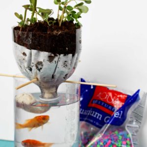 DIY 2-liter Bottle Ecosystem Project - Welcome To Nana's