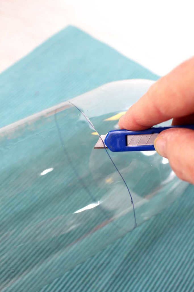 DIY 2-liter Bottle Ecosystem Project | Welcome To Nana's