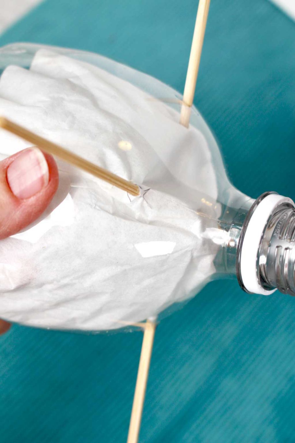 DIY 2-liter Bottle Ecosystem Project | Welcome To Nana's