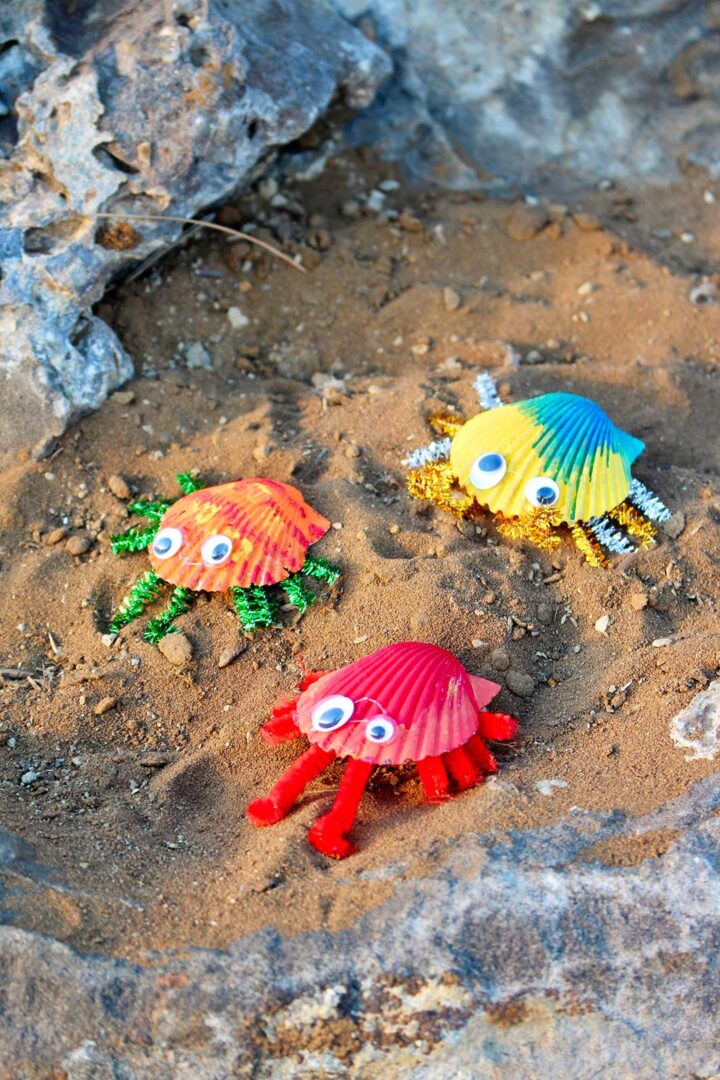 Easy Crab DIY Seashell Craft | Welcome To Nana's