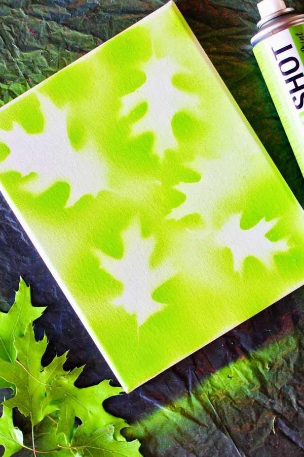DIY Botanical Wall Art with Spray Paint | Welcome To Nana's