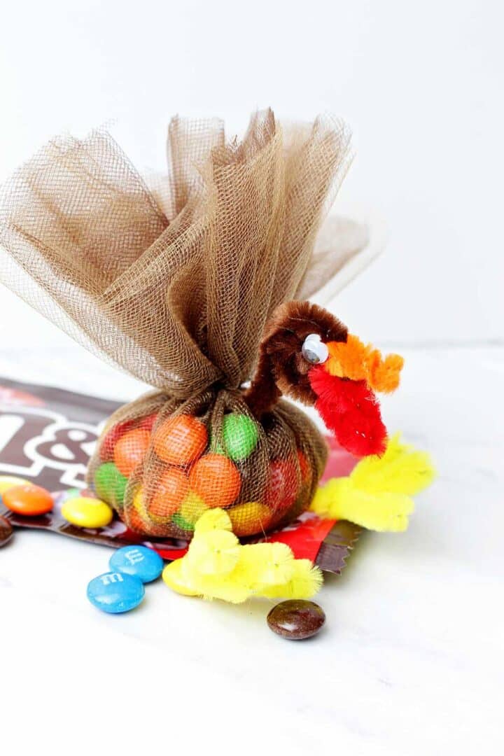 Cute Turkey Thanksgiving Gifts (Easy Table Favors!) | Welcome To Nana's