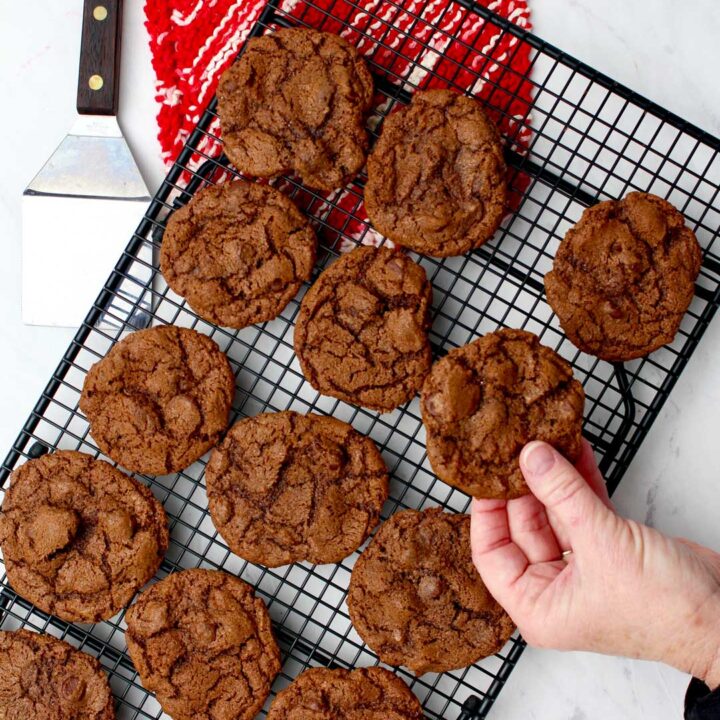 Nana's Great Chocolate Chip Cookie Bake Off | Welcome To Nana's