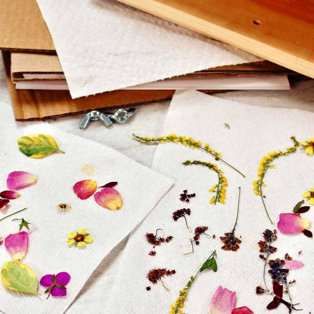 How to Press Flowers (4 Ways!) | Welcome To Nana's