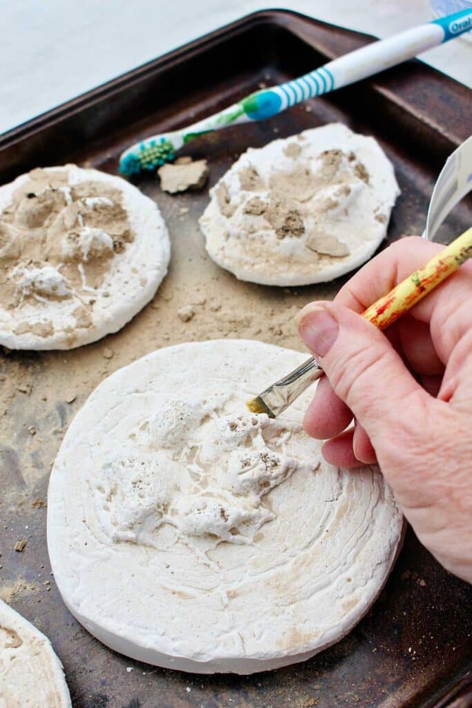 Learn How to Make Plaster Casts of Animal Tracks | Welcome To Nana's
