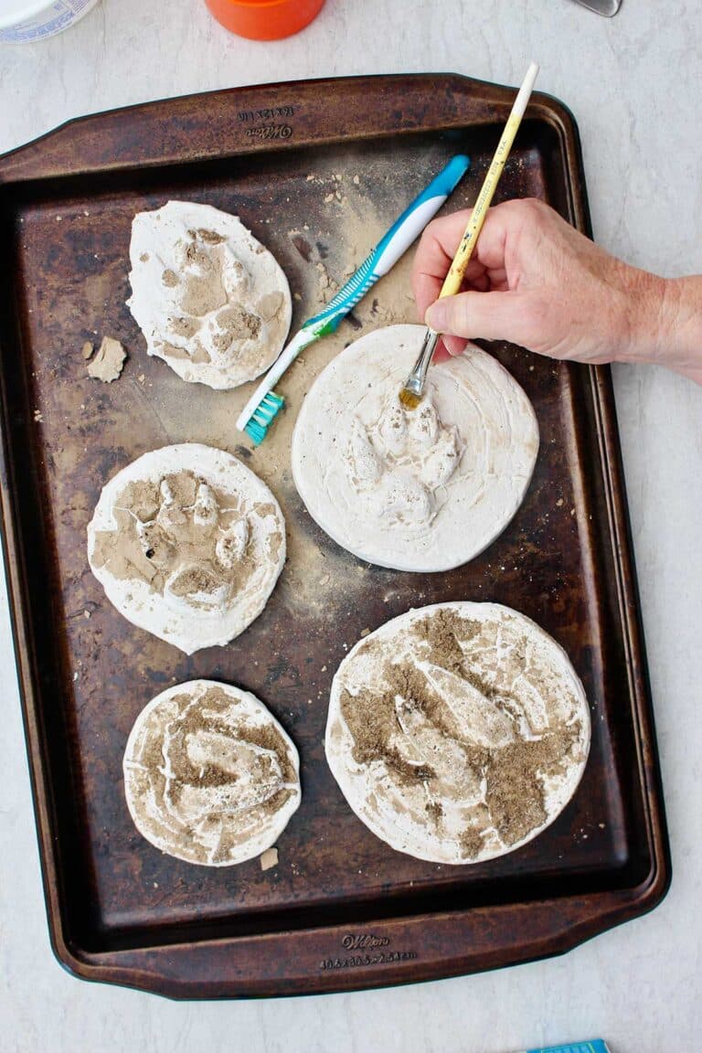 Learn How to Make Plaster Casts of Animal Tracks | Welcome To Nana's