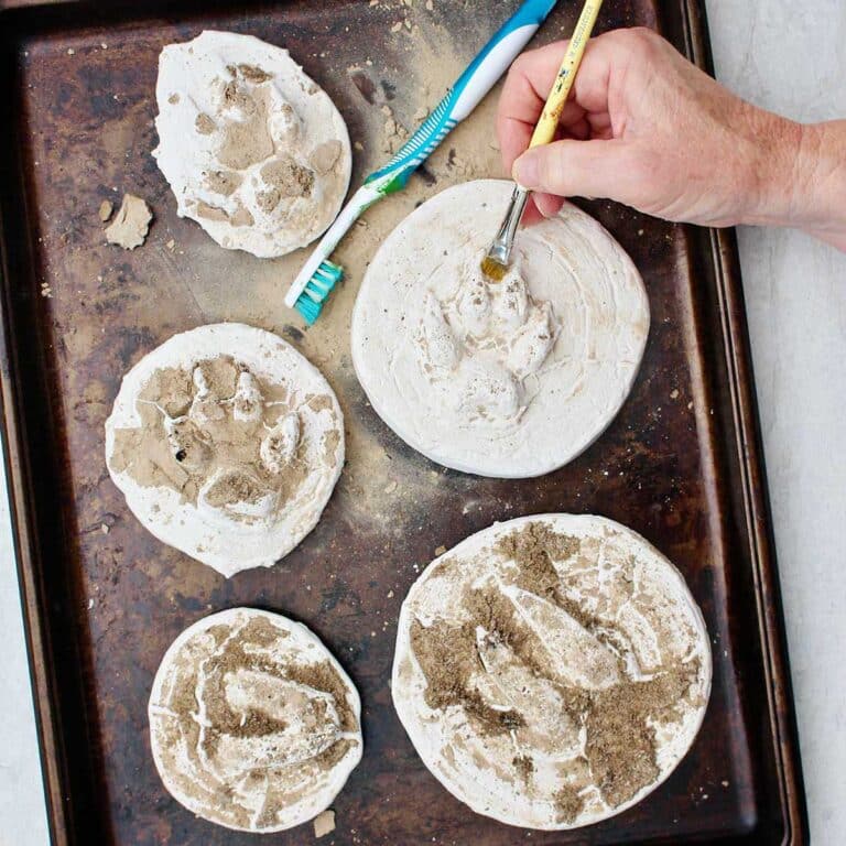 Learn How to Make Plaster Casts of Animal Tracks | Welcome To Nana's