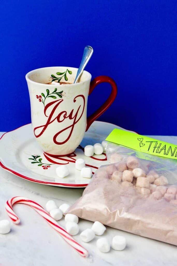 Homemade Hot Chocolate Mix Easy Gift Idea | Welcome To Nana's