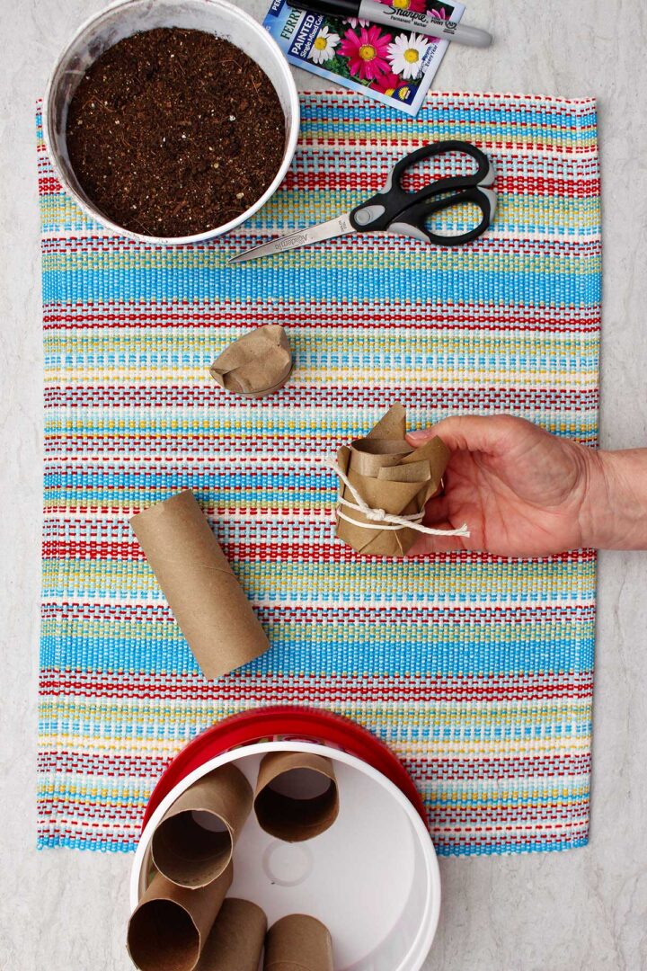 How to Start Seeds Indoors in TP Tubes! | Welcome To Nana's