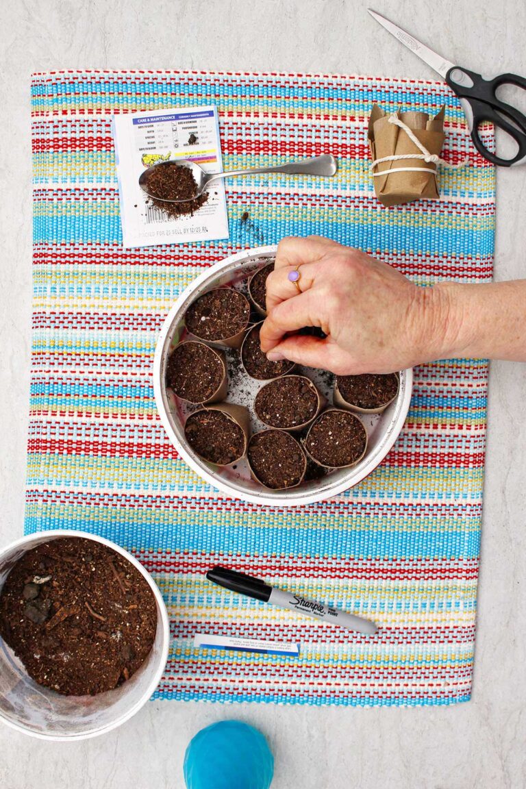 How to Start Seeds Indoors in TP Tubes! | Welcome To Nana's