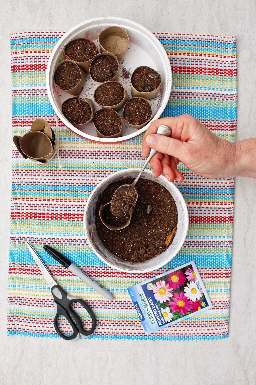 How to Start Seeds Indoors in TP Tubes! | Welcome To Nana's