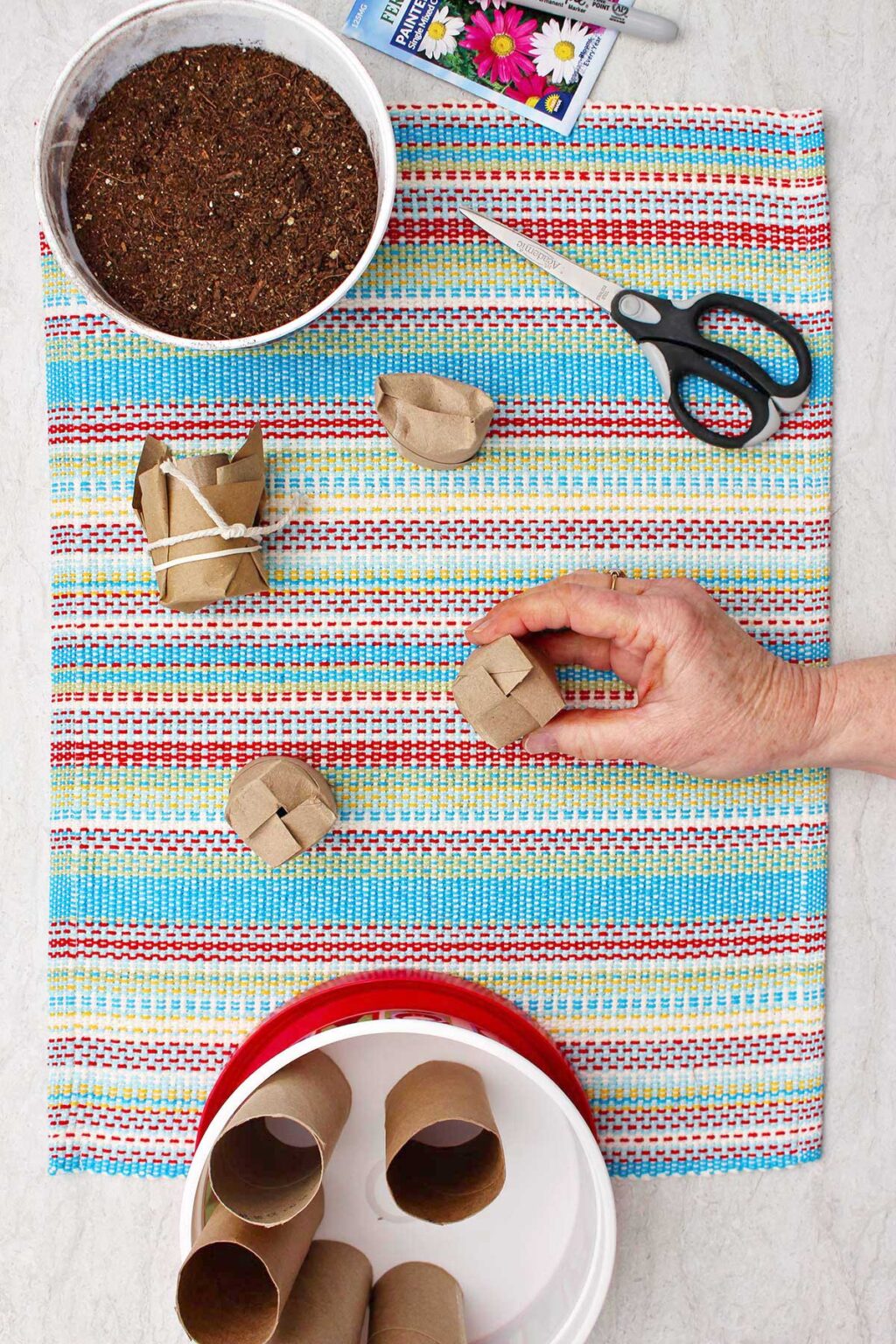 How to Start Seeds Indoors in TP Tubes! | Welcome To Nana's