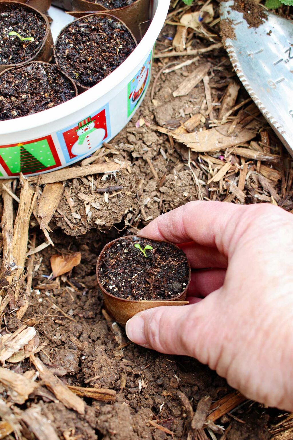 How to Start Seeds Indoors in TP Tubes! | Welcome To Nana's