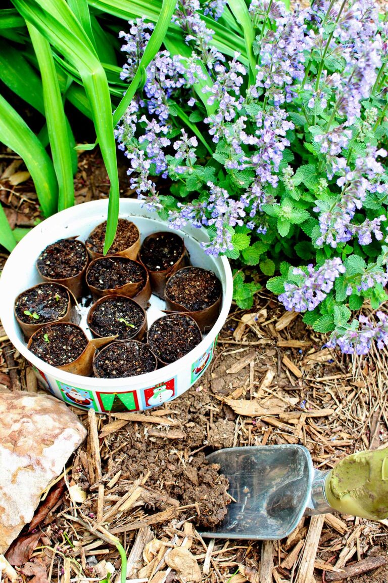 How to Start Seeds Indoors in TP Tubes! | Welcome To Nana's