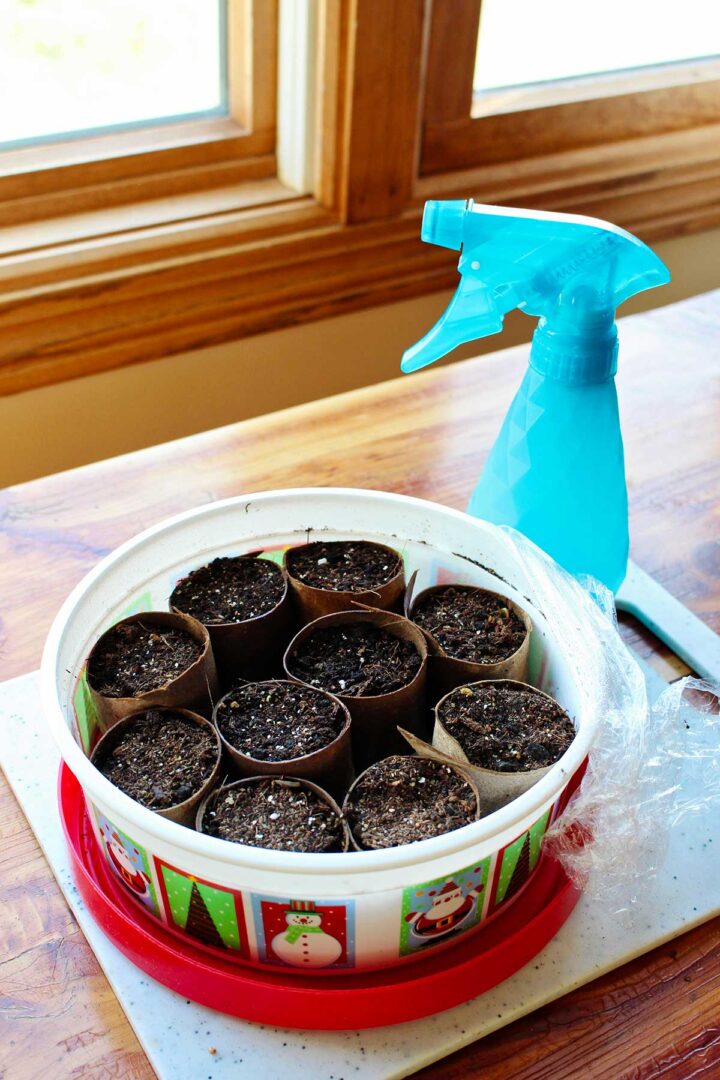 How to Start Seeds Indoors in TP Tubes! | Welcome To Nana's