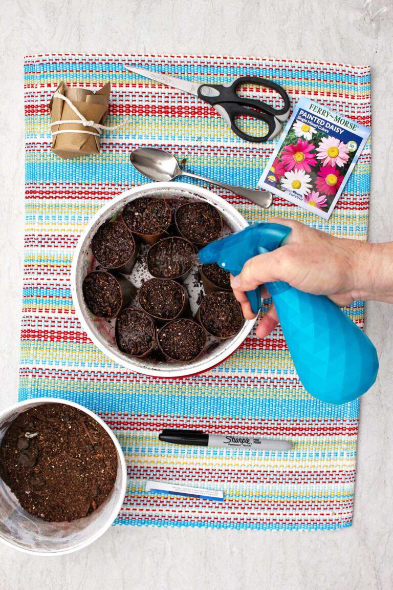 How to Start Seeds Indoors in TP Tubes! | Welcome To Nana's