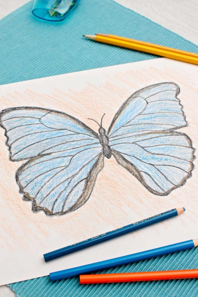 Easy Butterfly Drawing (2 Ways)! | Welcome To Nana's
